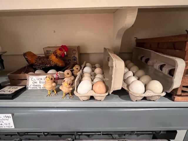 The Fritz Behnke Historical Museum of Paramus 330 Paramus Road Paramus ...