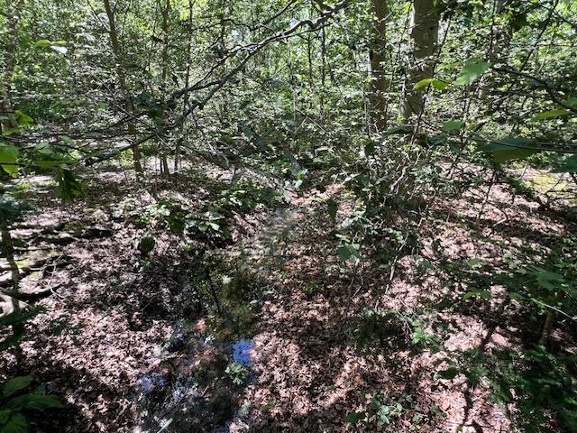 The Washington Spring Van Saun Park A Bergen County Historic Site 216 ...