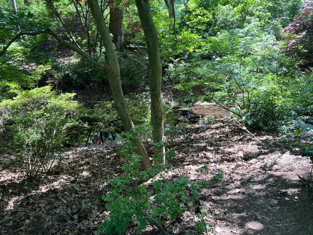 The Washington Spring Van Saun Park A Bergen County Historic Site 216 ...