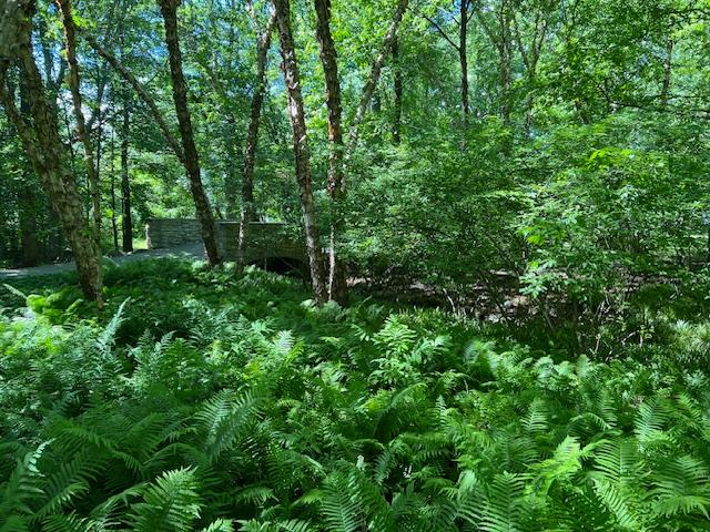 The Washington Spring Van Saun Park A Bergen County Historic Site 216 ...