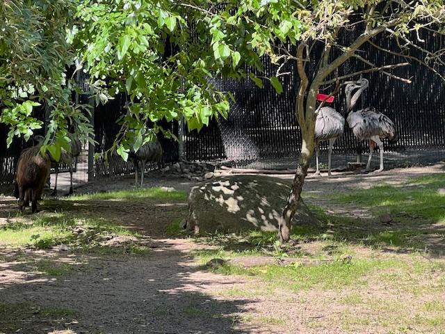 The Bergen County Zoo in Van Saun Park 216 Forest Avenue Paramus, New ...