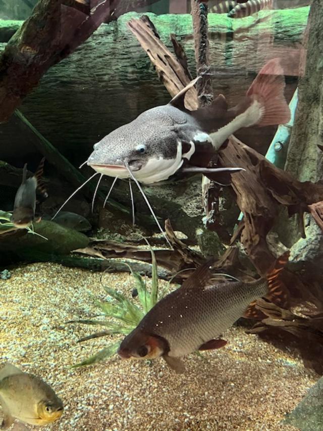 Prospect Park Zoo – Visiting a Museum: The Unique, Unusual, Obscure and ...