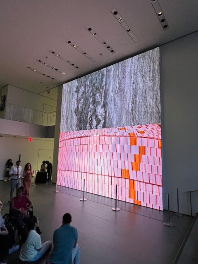 Day Three Hundred and Ten Private Members Night at the Museum of Modern ...