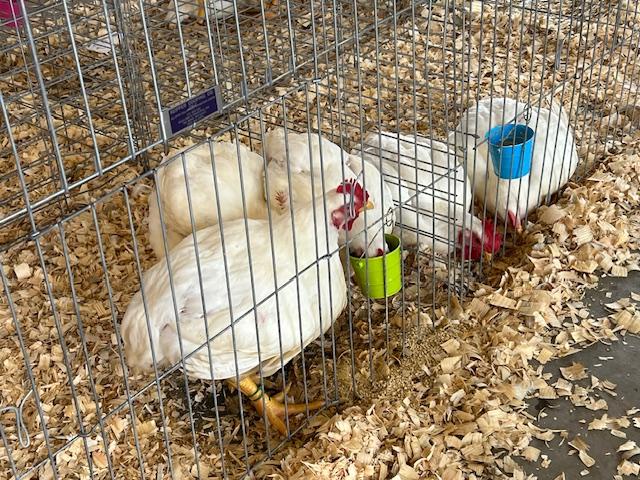 Visiting a Museum: The Unique, Unusual, Obscure and Historical ...