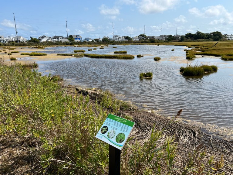 Wetlands Institute 1075 Stone Harbor Boulevard Stone Harbor, NJ 08247 ...