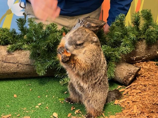 Day Two Hundred and Sixteen: Meeting ‘Edwina from Essex’ at the ...