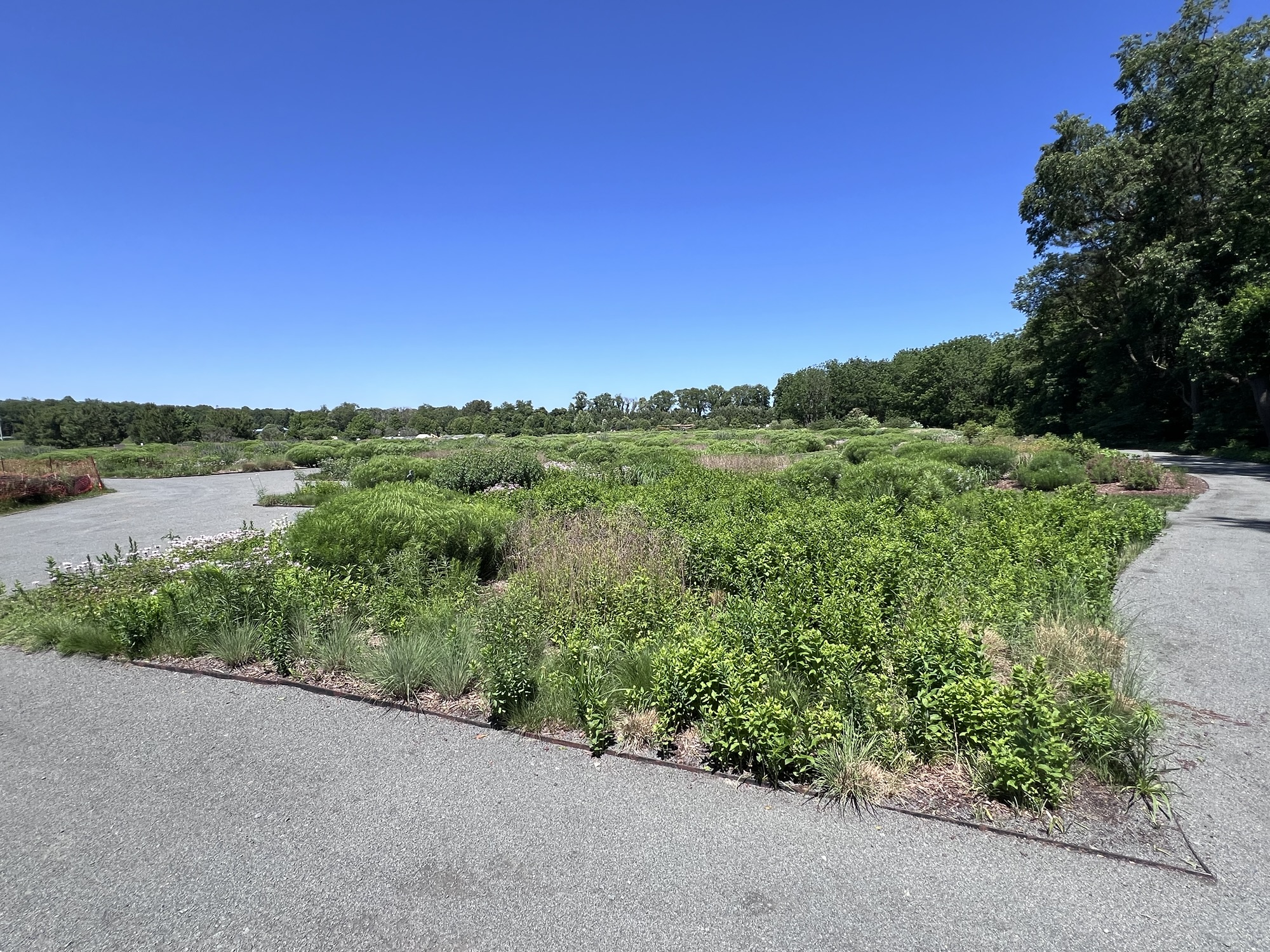 Delaware Botanic Garden 30220 Piney Neck Road Dagsboro, DE 19939 ...