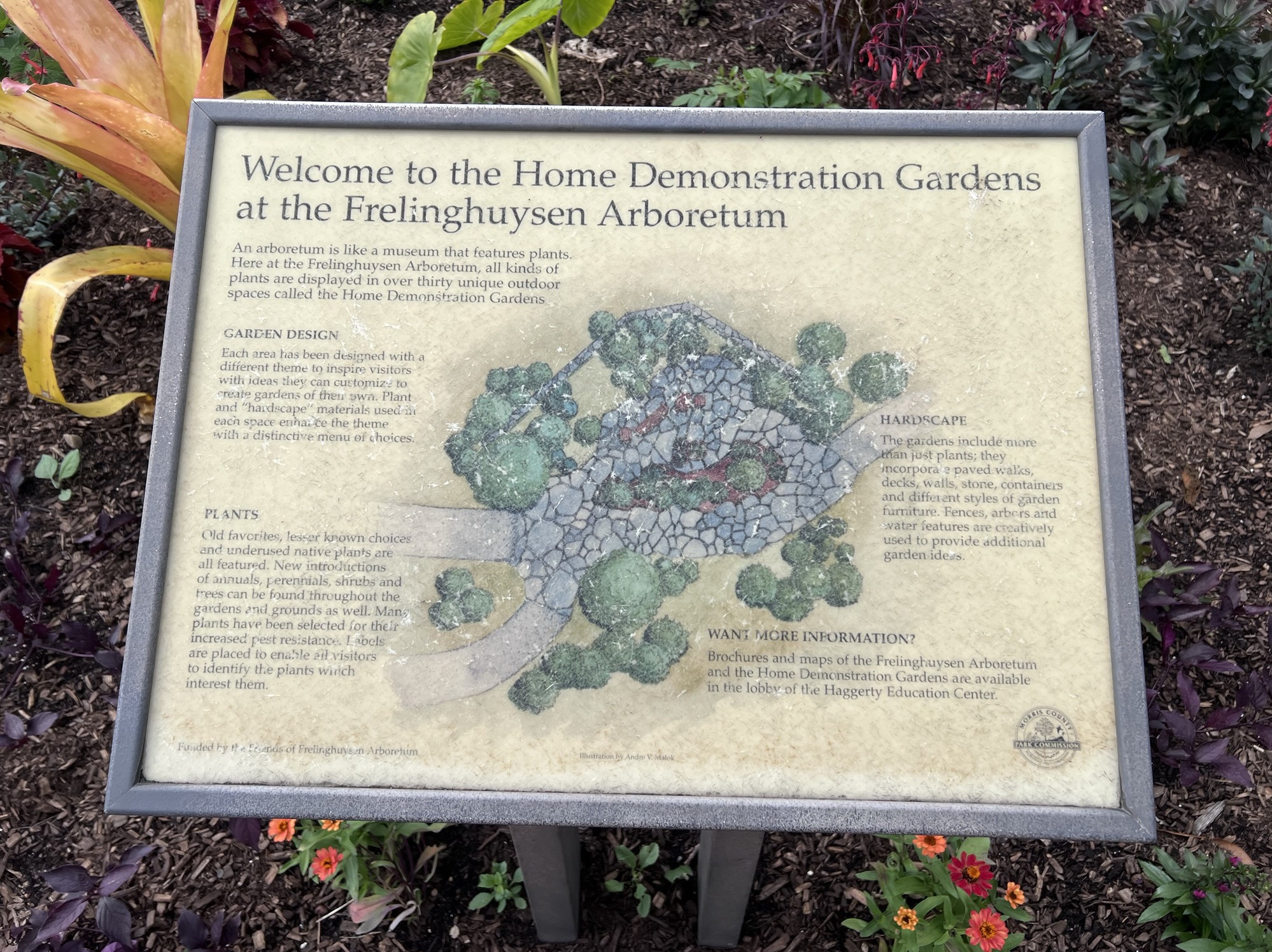Frelinghuysen Arboretum 53 East Hanover Avenue Morristown, NJ 07962 ...