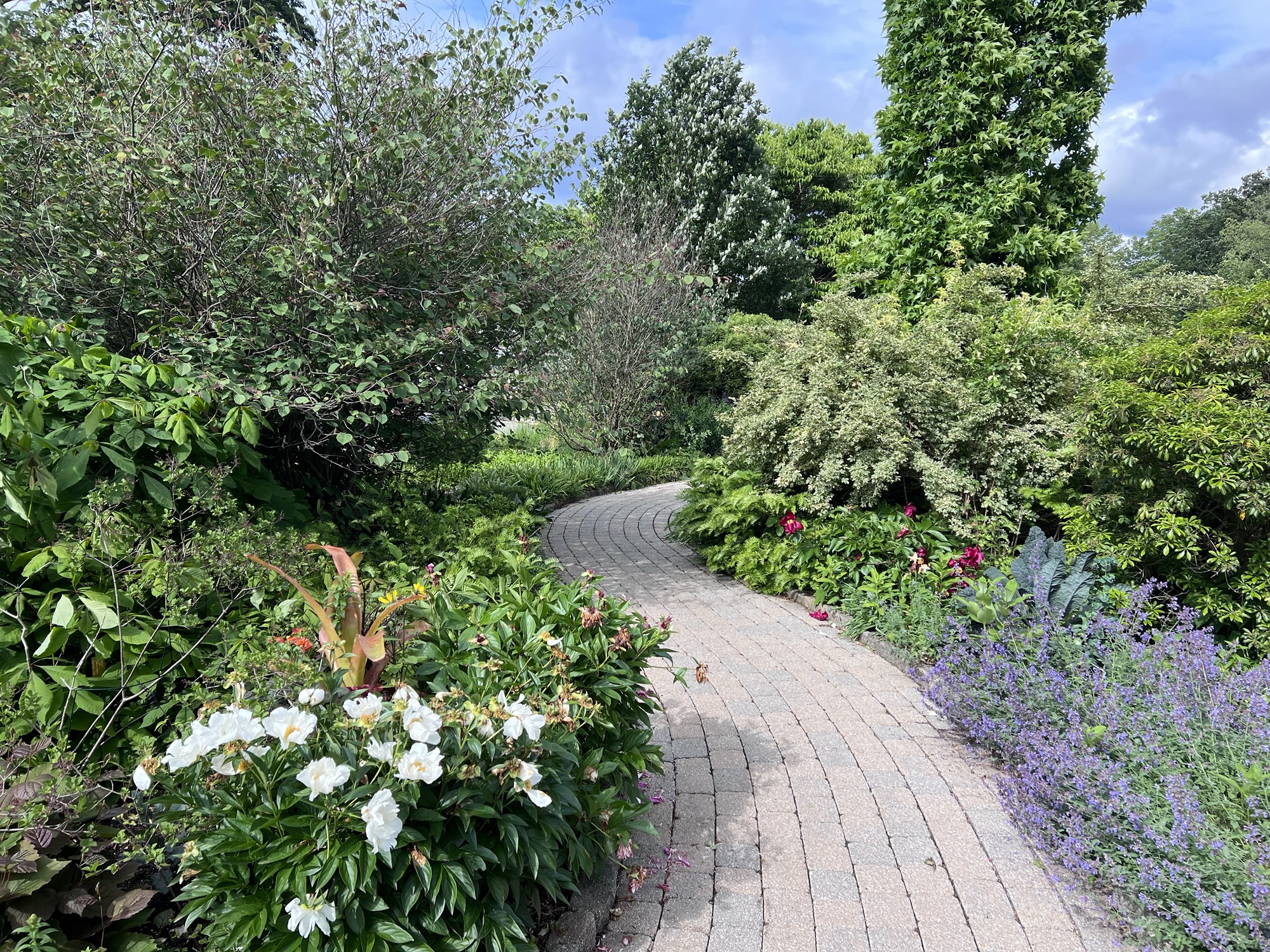 Frelinghuysen Arboretum 53 East Hanover Avenue Morristown, NJ 07962 ...